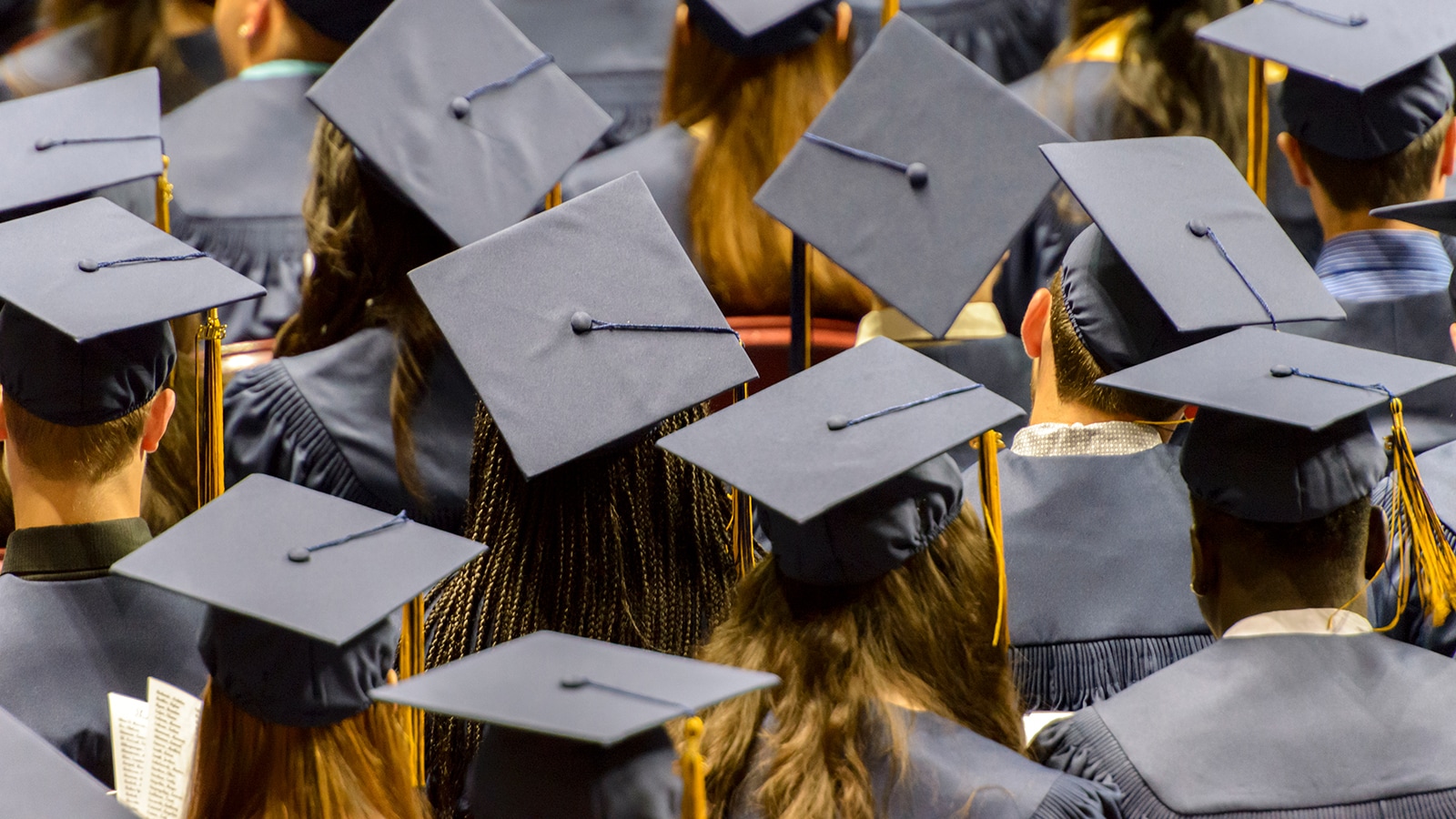 International professional qualifications